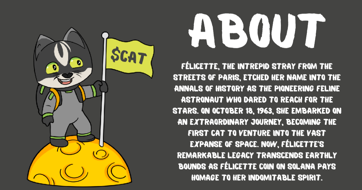 Felicette The Space Cat